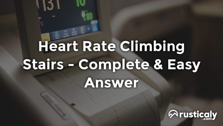 Heart Rate Climbing Stairs | Here's What You Should Know