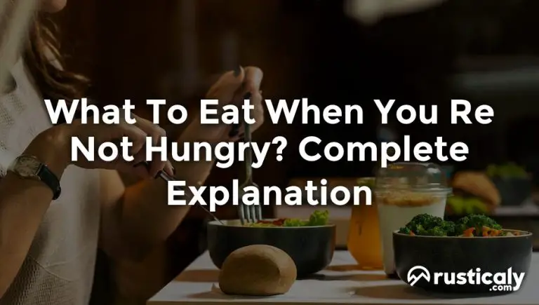 What To Eat When You Re Not Hungry? (Helpful Examples)
