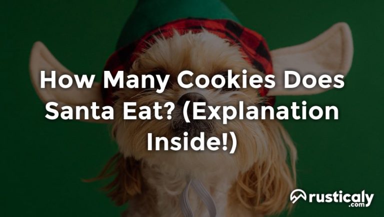 How Many Cookies Does Santa Eat? (Read This First!)