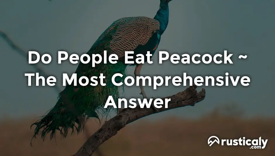 Do People Eat Peacock The Most Comprehensive Answer