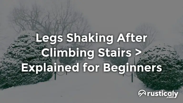 Legs Shaking After Climbing Stairs - The Best Explanation