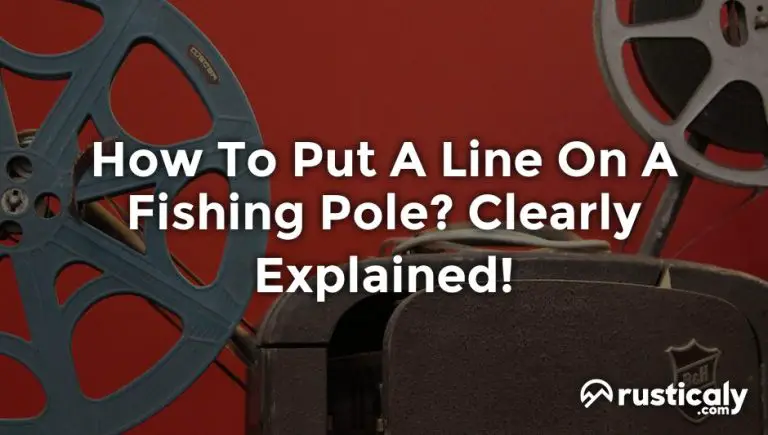 How To Put A Line On A Fishing Pole? (Important Facts)