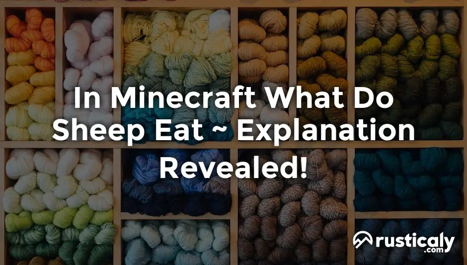 In Minecraft What Do Sheep Eat | The Best Explanation