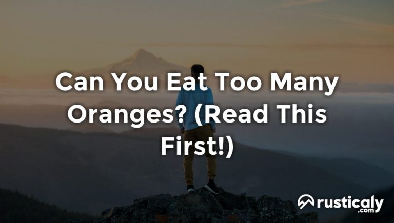 Can You Eat Too Many Oranges? (Explained for Beginners)
