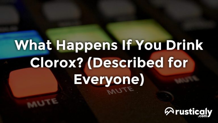 What Happens If You Drink Clorox? (Explanation Inside!)