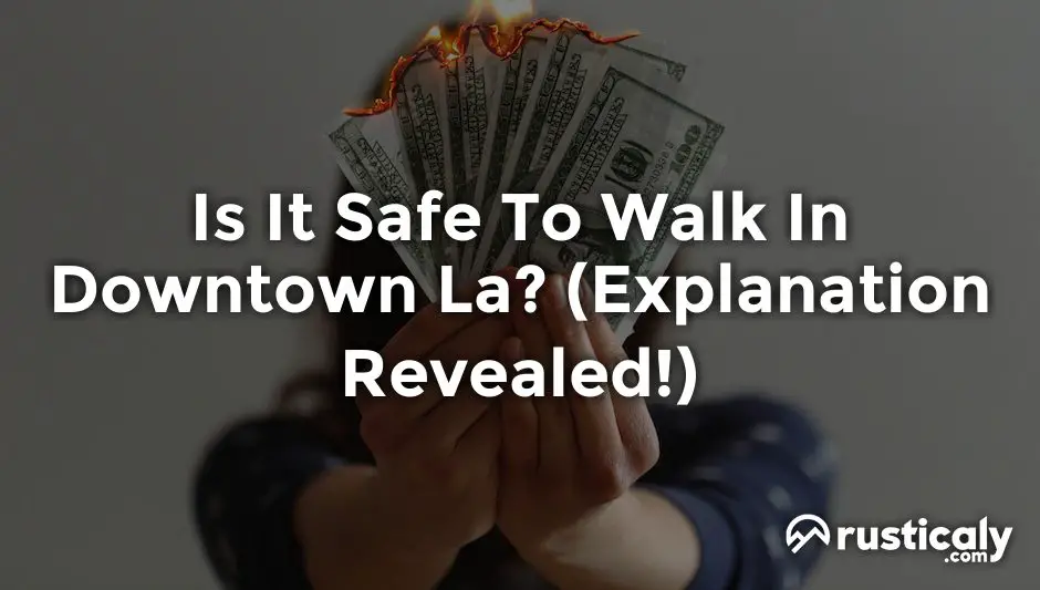 Is It Safe To Walk In Downtown La? (Described for Everyone)