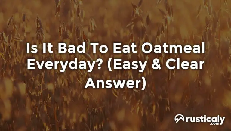 Is It Bad To Eat Oatmeal Everyday? (Finally Explained!)