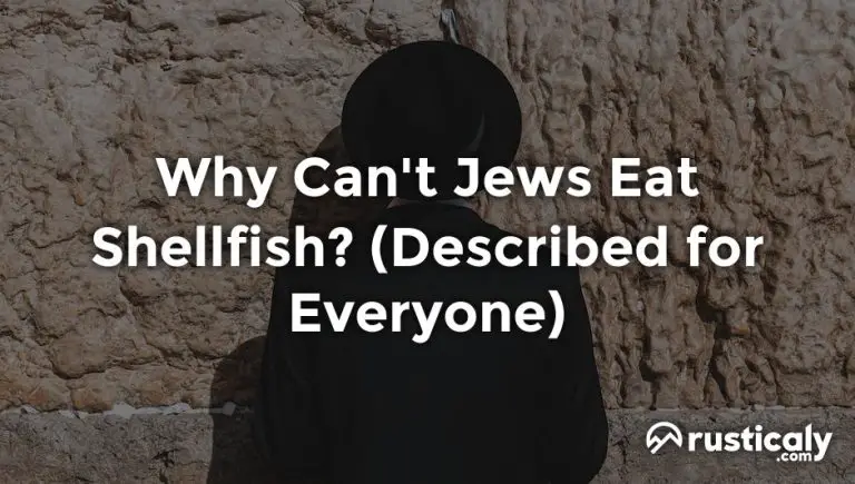 Why Can't Jews Eat Shellfish? (Described for Everyone)