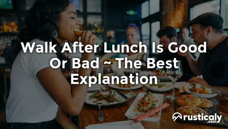 Walk After Lunch Is Good Or Bad ~ Explained for Beginners