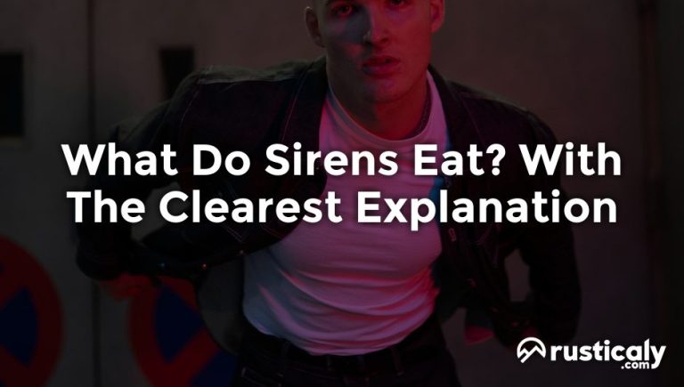 What Do Sirens Eat? Here's What You Should Know About It