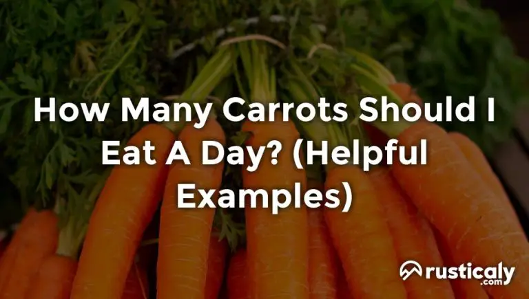 How Many Carrots Should I Eat A Day? Complete Explanation