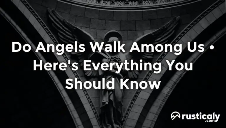 Do Angels Walk Among Us • The Most Comprehensive Answer