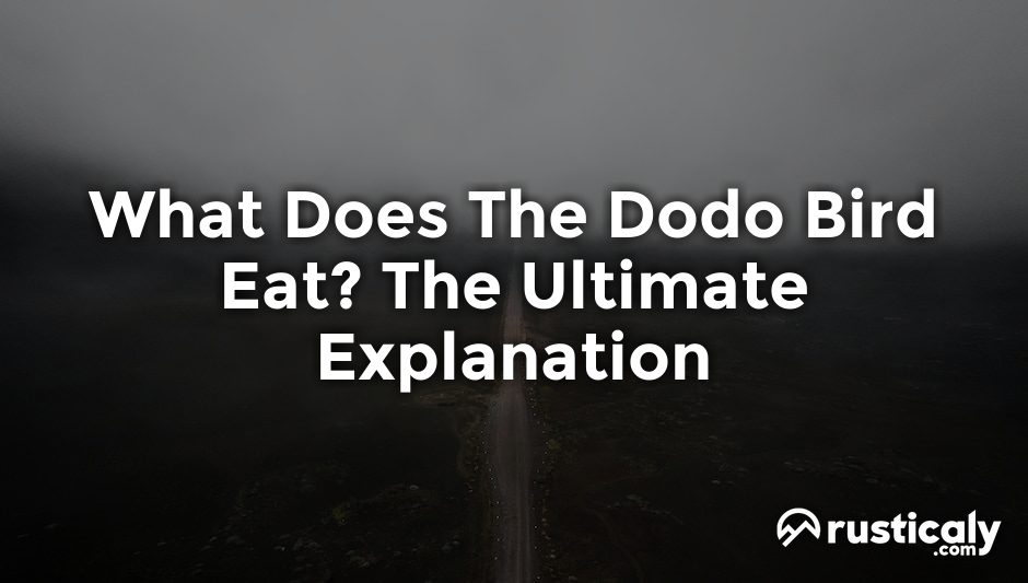 What Does The Dodo Bird Eat The Ultimate Explanation