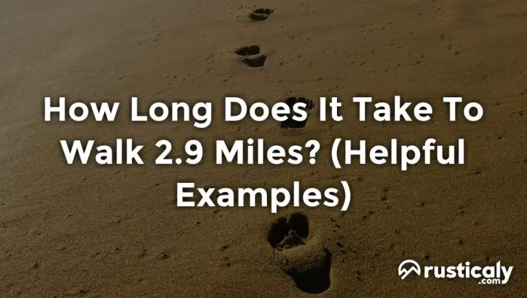 How Long Does It Take To Walk 2.9 Miles? (Complete Answer)