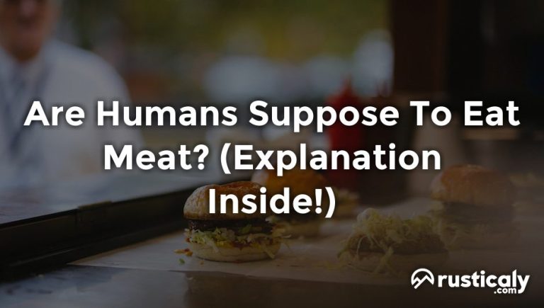 Are Humans Suppose To Eat Meat? (Explanation Revealed!)