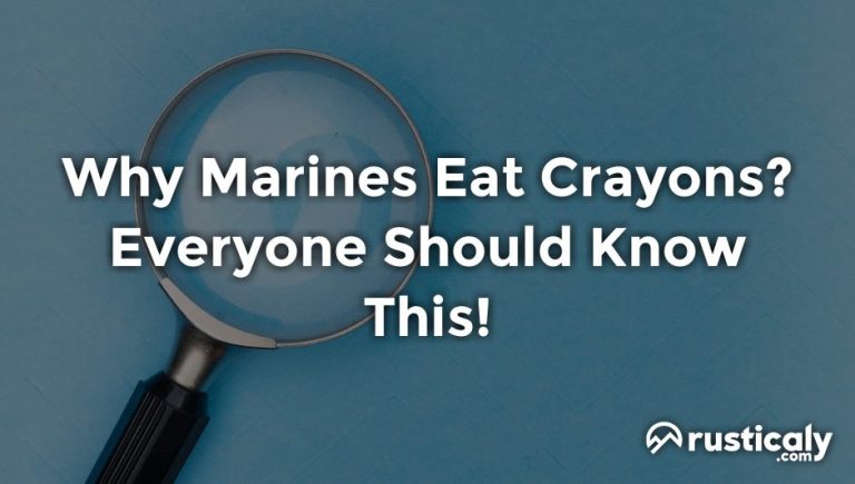 Why Marines Eat Crayons? Everything You Need To Know