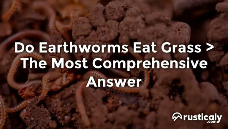Do Earthworms Eat Grass • You Should Absolutely Know This!