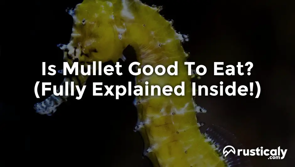 Is Mullet Good To Eat? The Most Comprehensive Answer
