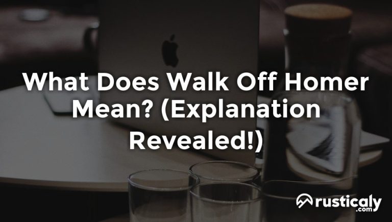 What Does Walk Off Homer Mean? (Explained for Beginners)