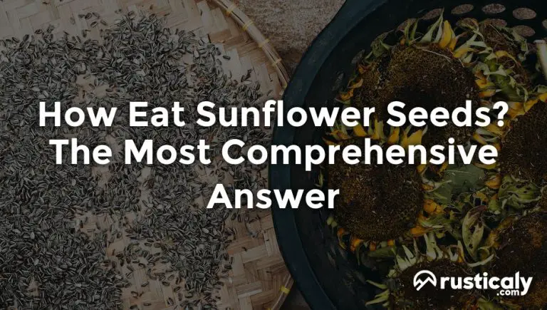 How Eat Sunflower Seeds? The Most Comprehensive Answer