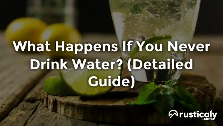 What Happens If You Never Drink Water? (Important Facts)
