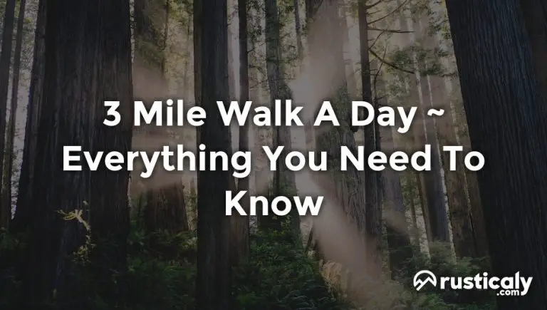 3 Mile Walk A Day • Everything You Need To Know