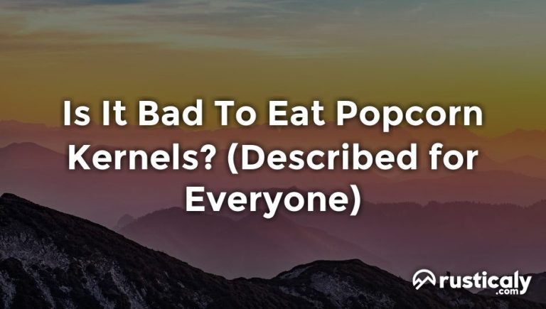 Is It Bad To Eat Popcorn Kernels? (Described for Everyone)