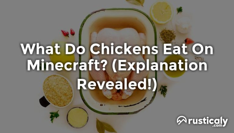 What Do Chickens Eat On Minecraft? The Best Explanation