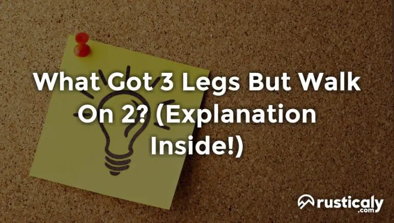What Got 3 Legs But Walk On 2? (Finally Explained!)