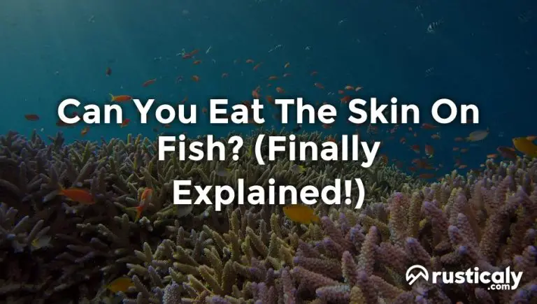 Can You Eat The Skin On Fish? (Explained for Beginners)