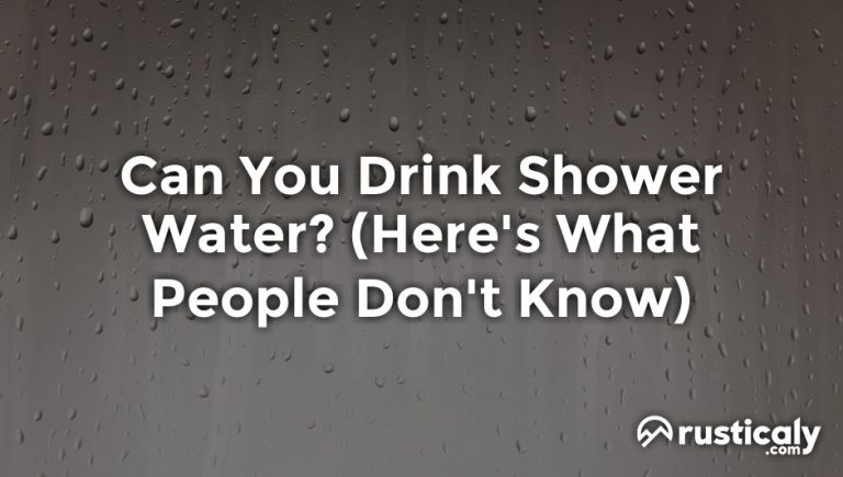 Can You Drink Shower Water? (Easily Explained Inside!)