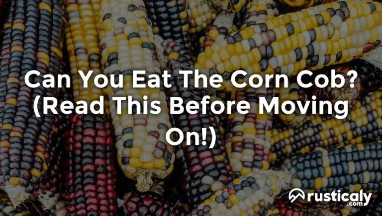 Can You Eat The Corn Cob? The Ultimate Explanation