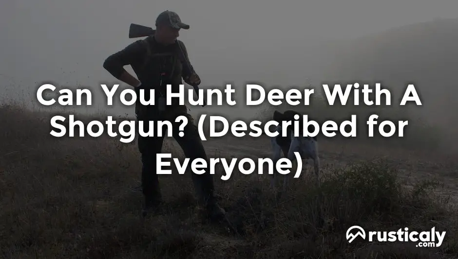 Can You Hunt Deer With A Shotgun Finally Explained Can You Hunt Deer With A Shotgun Finally Explained