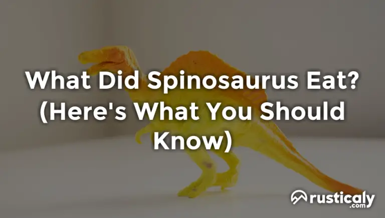 What Did Spinosaurus Eat? (Read This Before Moving On!)