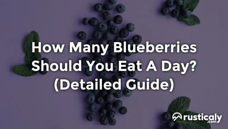 How Many Blueberries Should You Eat A Day? (Complete Answer)