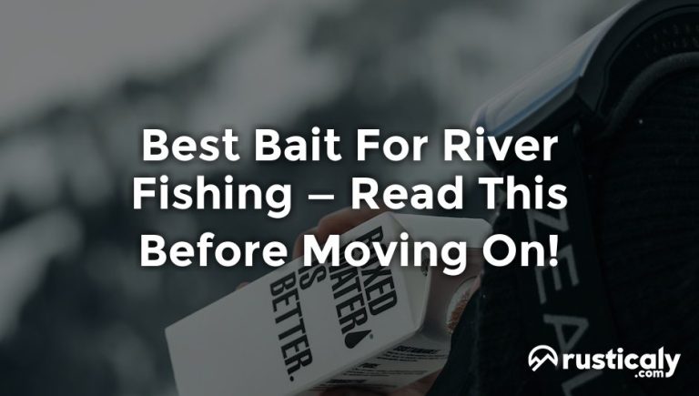 Best Bait For River Fishing ~ Here's What You Should Know