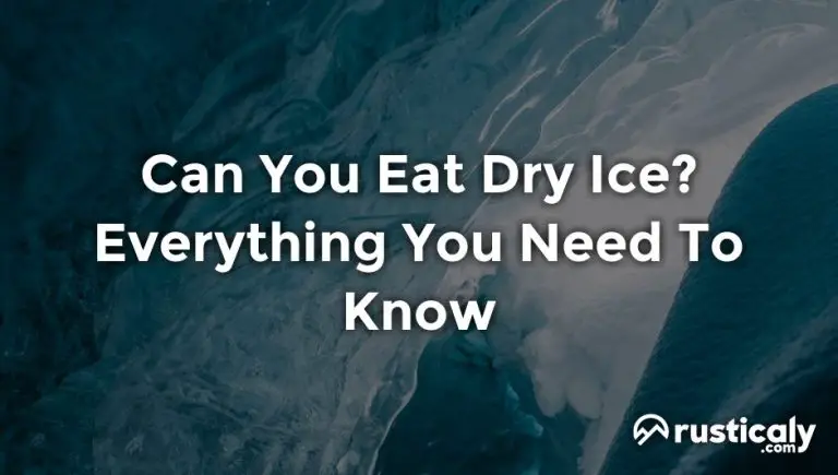 Can You Eat Dry Ice? (Fully Explained Inside!)