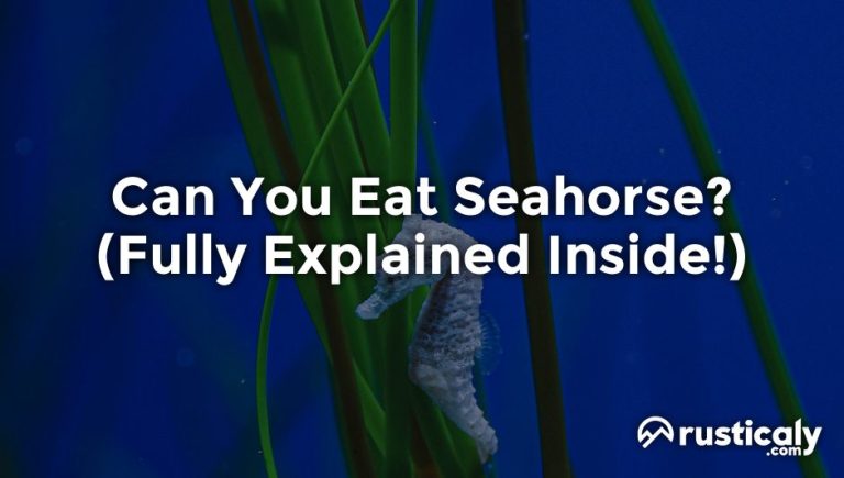 Can You Eat Seahorse? (Fully Explained Inside!)