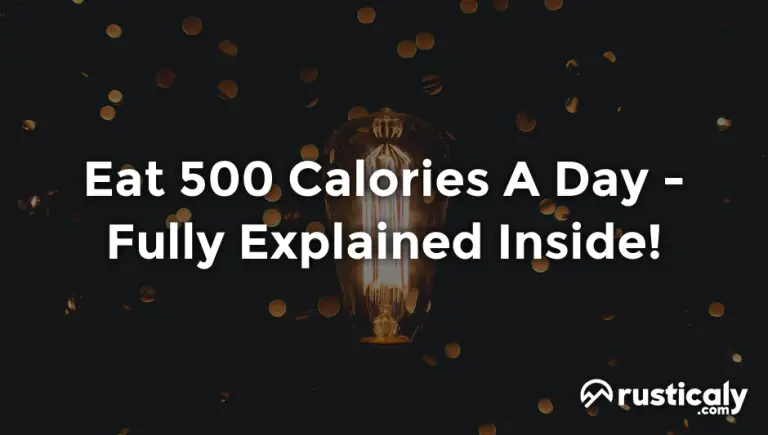 Eat 500 Calories A Day • Here's Everything You Should Know