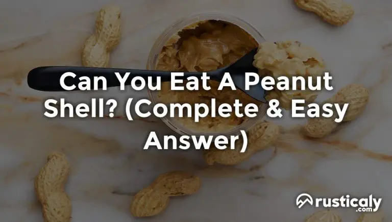 Can You Eat A Peanut Shell? The Easiest Explanation