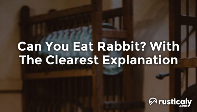 Can You Eat Rabbit? Here's Everything You Should Know