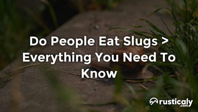 Do People Eat Slugs — Here's Everything You Should Know